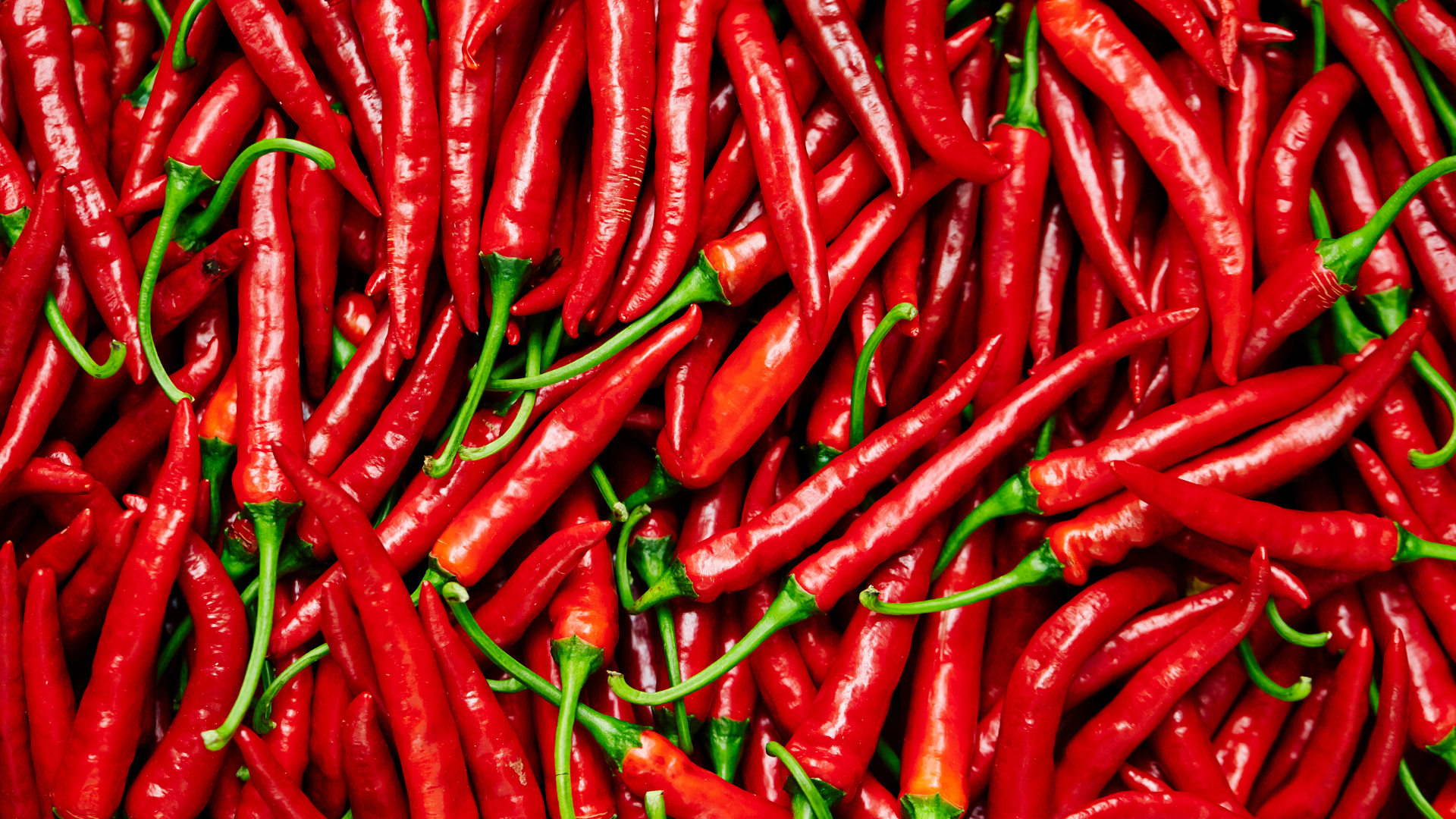 As 10 pimentas mais fortes do mundo; saiba o que as torna tão ardentes