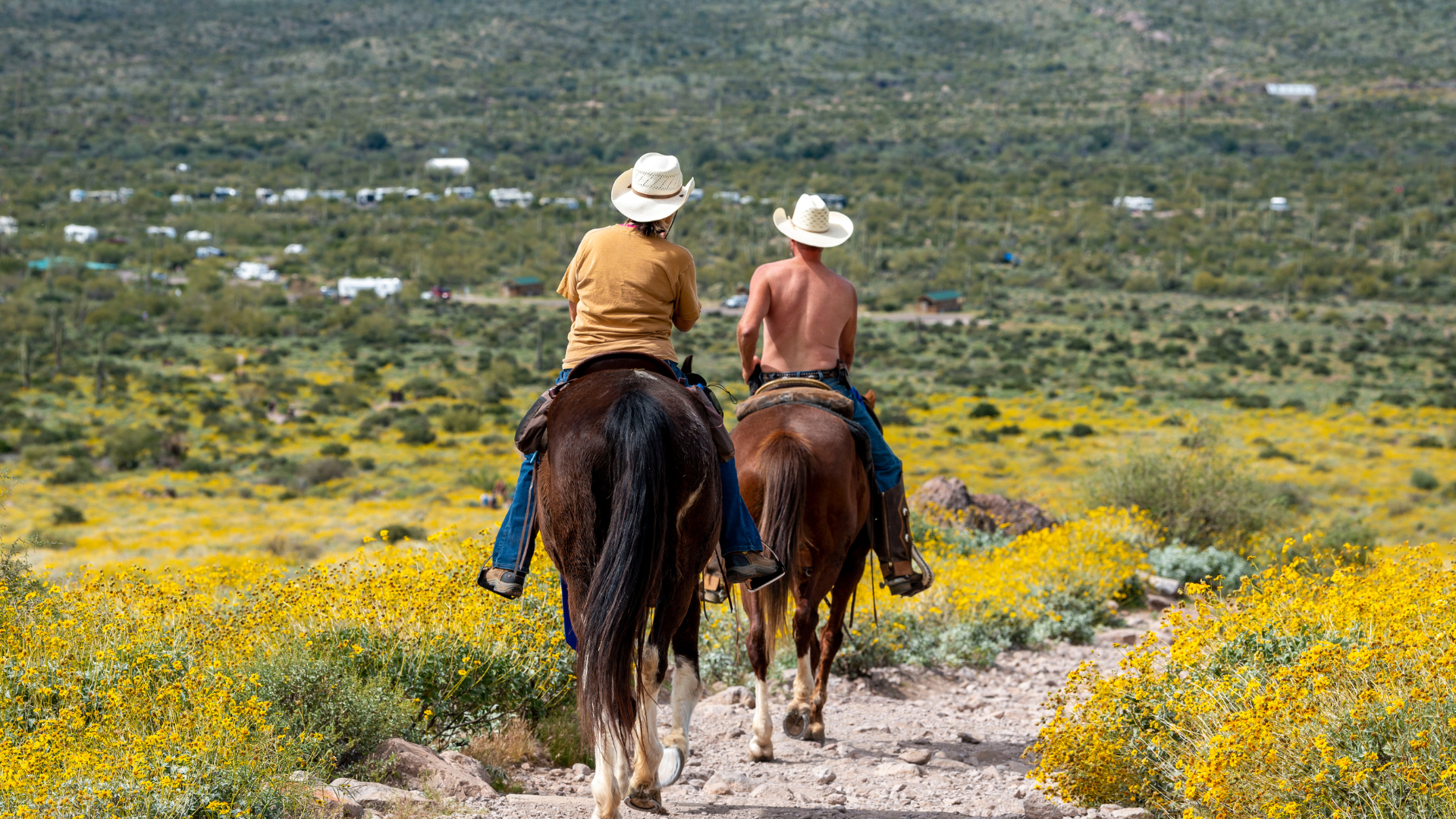 Texas e o chapéu de cowboy - Jornal da Fronteira: Notícias de Hoje
