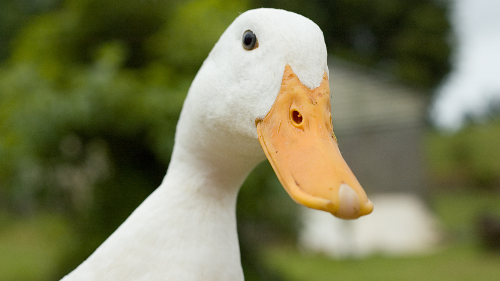 As fobias mais estranhas que você nunca imaginou que existem