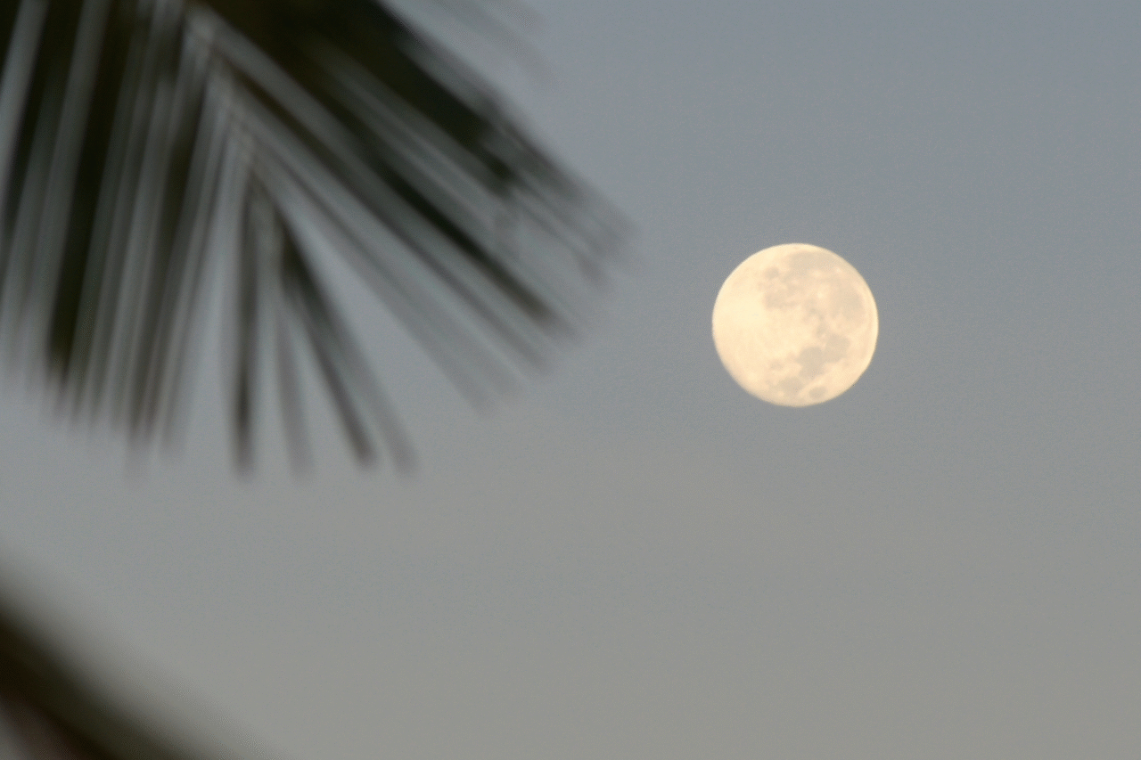 Fase da Lua hoje: veja como está o céu nesta quinta-feira (06/11)